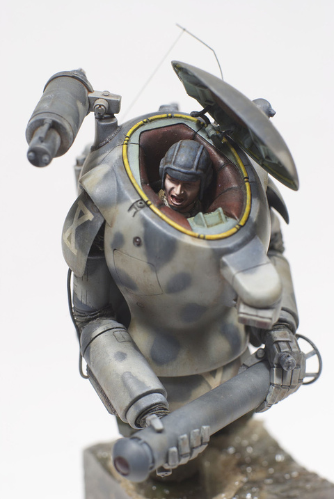 TINAMI - [モデル]SAFS-R Raccoon