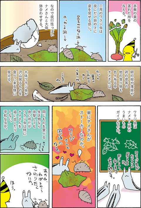 TINAMI - [マンガ]ワラジ虫観察22