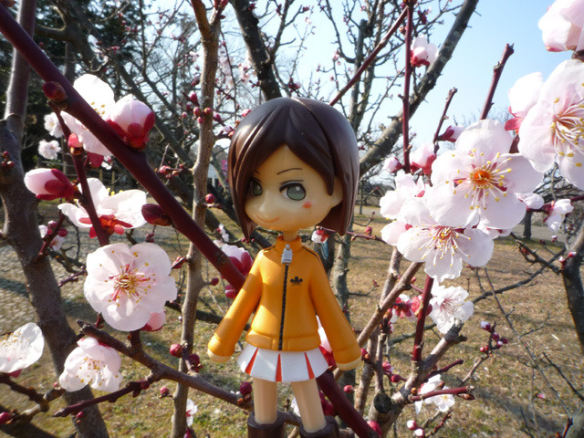 TINAMI - [モデル]田浦梅林2016