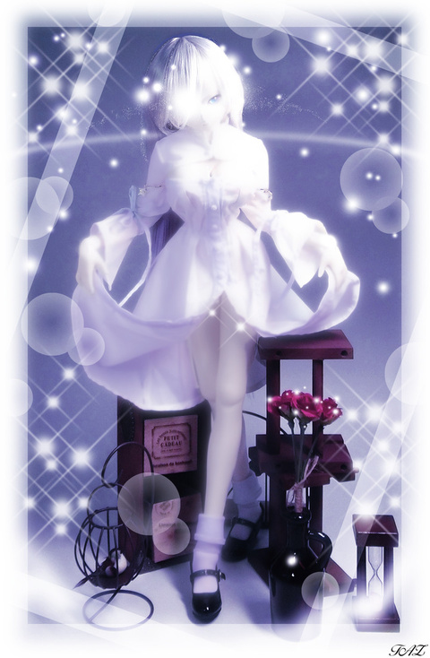 TINAMI - [モデル]S.L.T.A-C'T