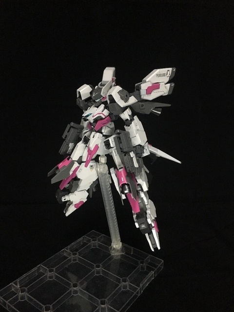 TINAMI - [モデル]YSX-24F/hs-02 バーゼラルド スフェニスカス