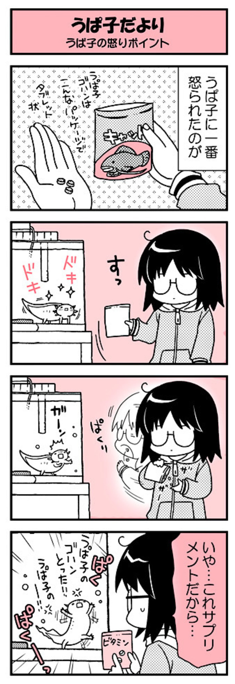 TINAMI - [マンガ]【うぱ子だより14】