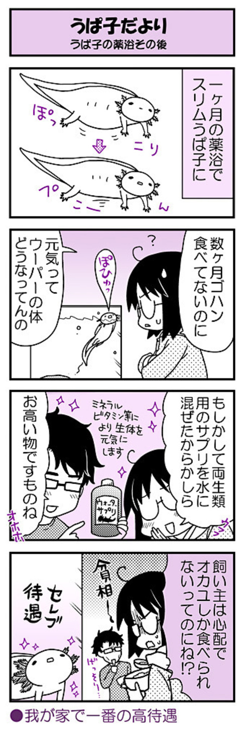 TINAMI - [マンガ]【うぱ子だより28】