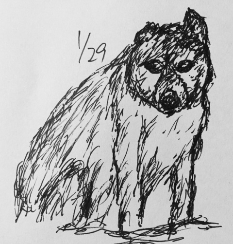 TINAMI - [イラスト]5分スケッチ 18/1/29