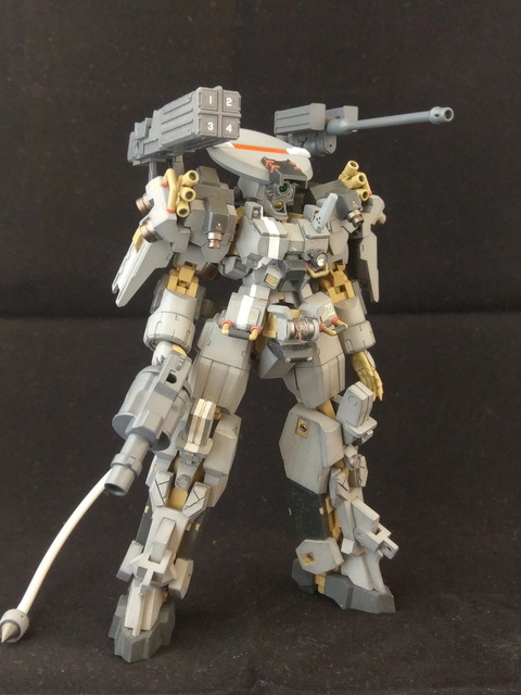 TINAMI - [モデル]【FA】換コン作品【1/100】