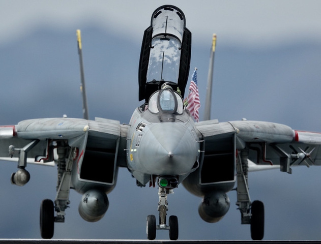 TINAMI - [モデル]1/32 F-14D TOMCAT