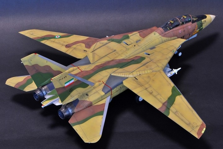 TINAMI - [モデル]F-14A トムキャット