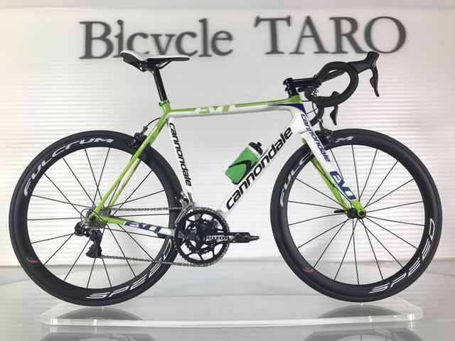 TINAMI - [モデル]ROAD BIKE 005(1/7スケールレジンキット）