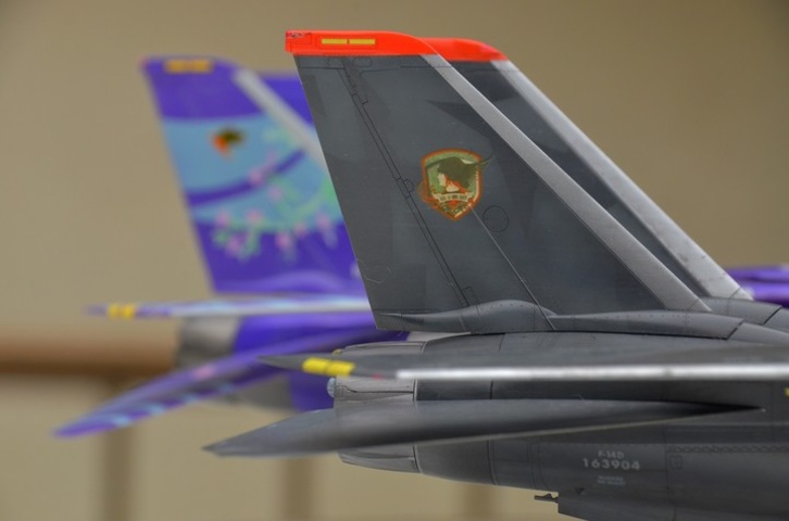 TINAMI - [モデル]F-14D "RAZGRIZ"