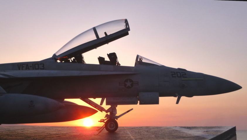 TINAMI - [モデル]1/48 F/A-18F Super Hornet VFA-103 Jolly Rogers