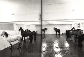 TINAMIX Vol. 1.30 Po+ku Art revolution